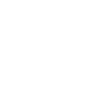 ილიას სახელმწიფო უნივერსიტეტი