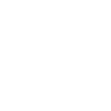 ილიას სახელმწიფო უნივერსიტეტი